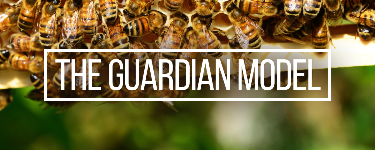 The Guardian Model – Peregrine Supply Co.